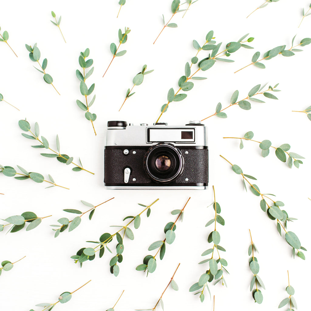 How to Preserve Old Photos – Jot & Mark